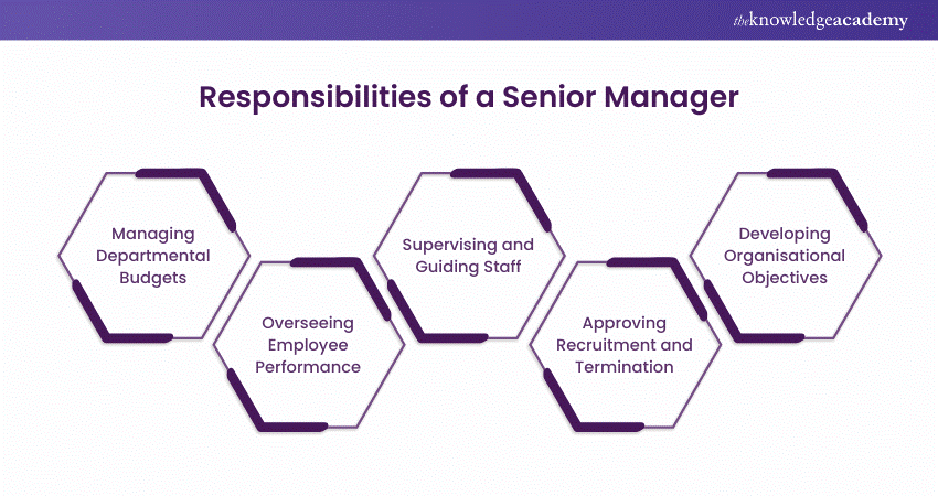 Senior Manager Job Description: Role and Responsibilities